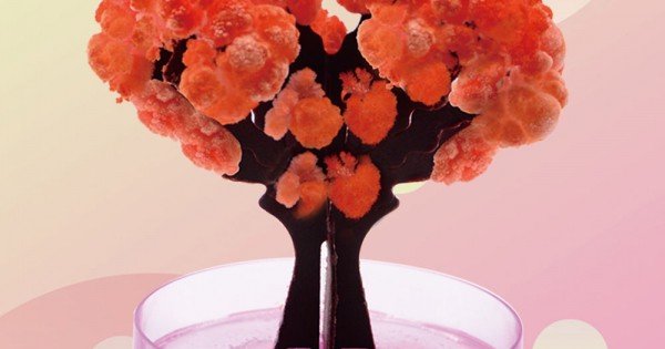 Magic Crystal Tree DIY (New Year's Tree Science Small Experiment ...