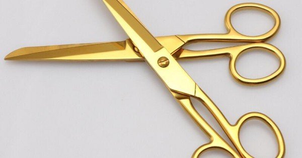 Gold Scissors 7 inch 18cm (gold scissors for ribbon cutting))