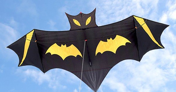 Bat Kite 1.8m (Super Cool)